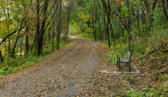 The Great Sauk State Trail to Walking Iron Rail-to-Trail Connection ...